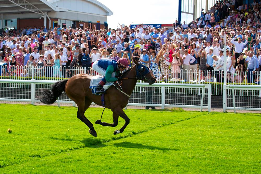 Leicester Racecourse | Sports and Activity in Leicester