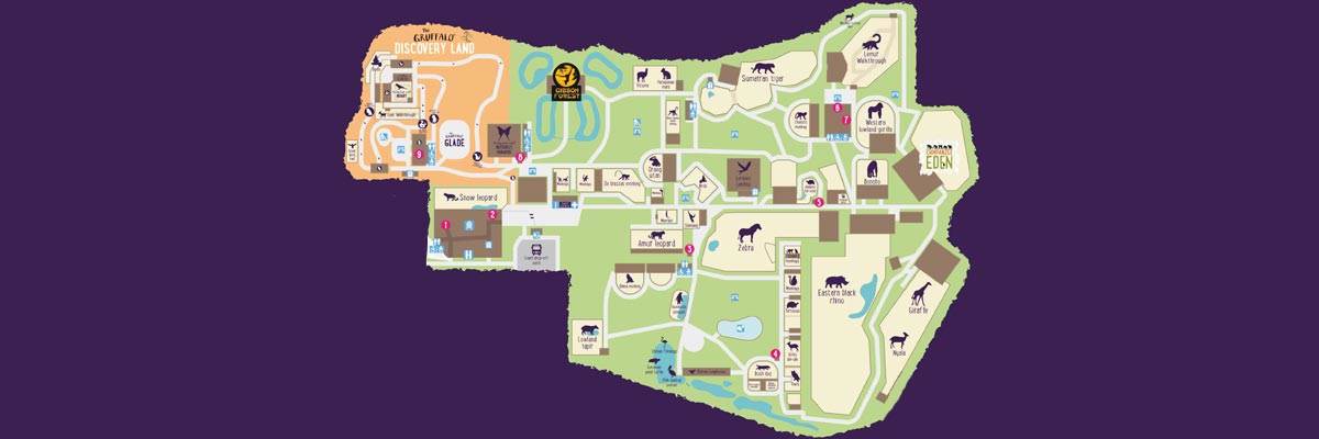 Twycross Zoo Leicester | Family Day Out in Leicester