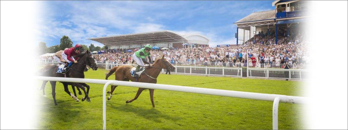 Horse Racing in Leicester | Racecourse in Leicester Oadby